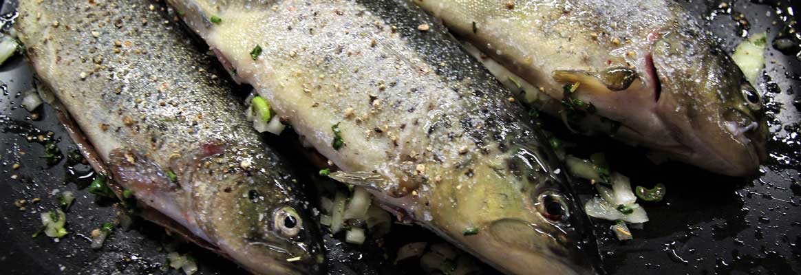 Forel op de bbq, een goede grilvis. Als filet of hele vis.