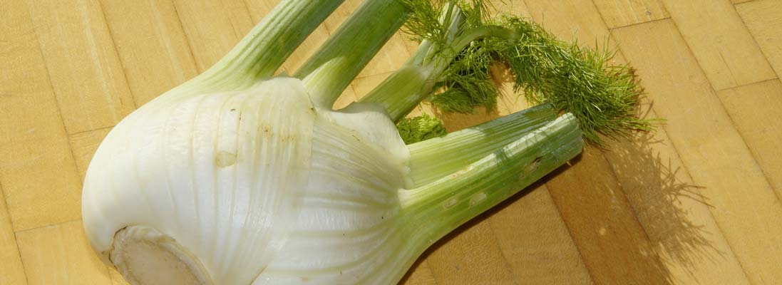 Venkel op de bbq, een groente die zich bij uitstek leent om te stoven.